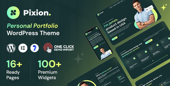 Pixion - Developer Portfolio WordPress Theme by awaiken | ThemeForest
